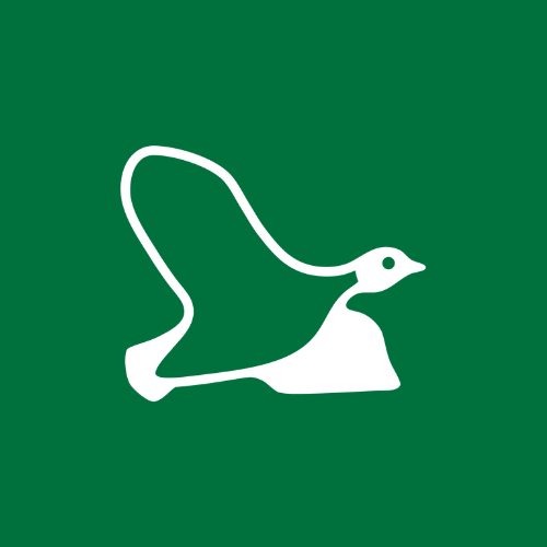 Partridge | Fishing Station