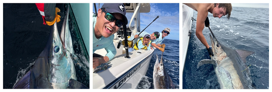 How To Catch Marlin - The Ultimate Guide & Gear – Fishing Station