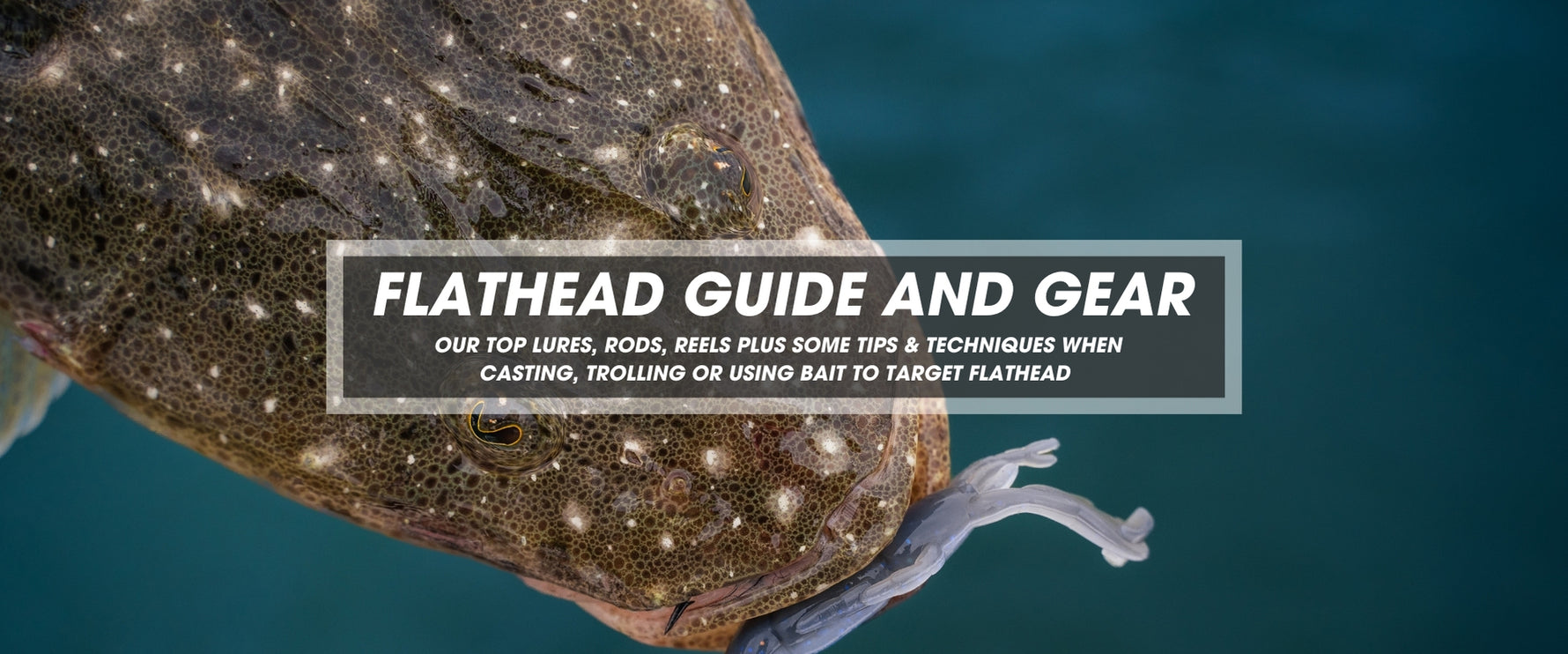 How To Catch Flathead - The Ultimate Guide & Gear – Fishing Station
