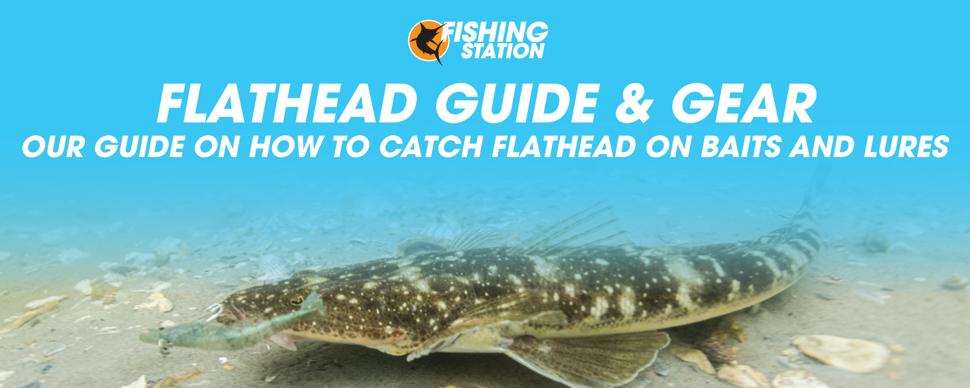 How To Catch Flathead - The Ultimate Guide & Gear – Fishing Station