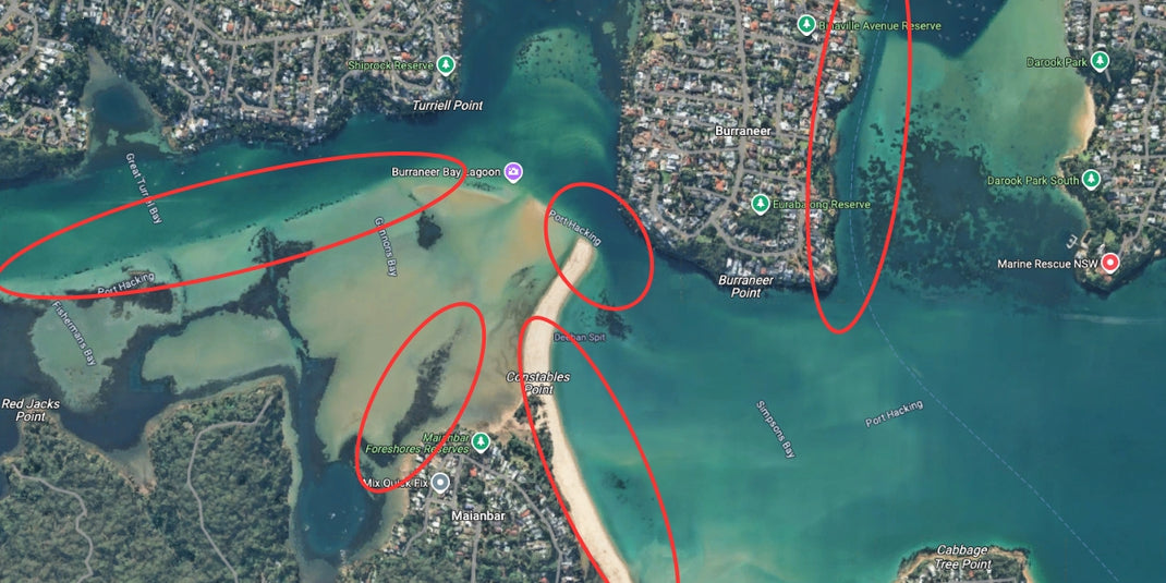 How To Catch Flathead - The Ultimate Guide & Gear – Fishing Station