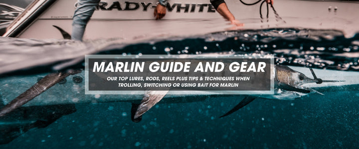 How To Catch Marlin - The Ultimate Guide & Gear – Fishing Station