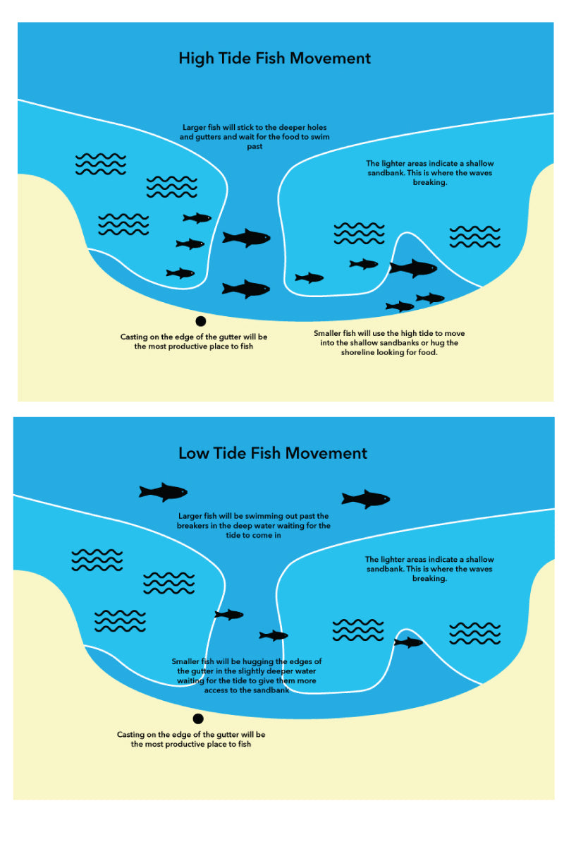 How to catch sand whiting in the surf – Fishing Station