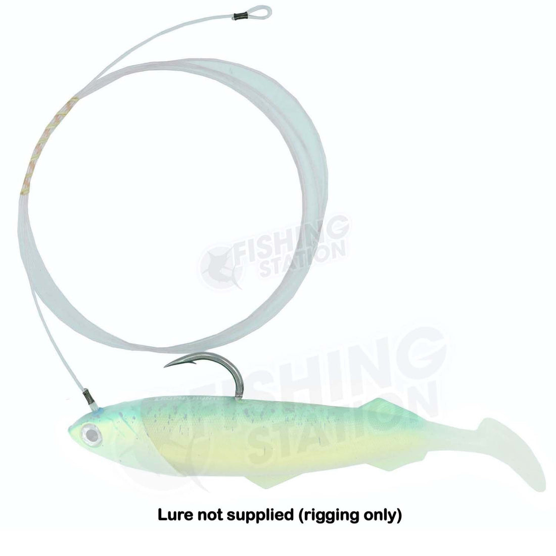 Trophy Hunter Profidgie Pre-Rigged Single Hook Rig + Leader – Fishing ...
