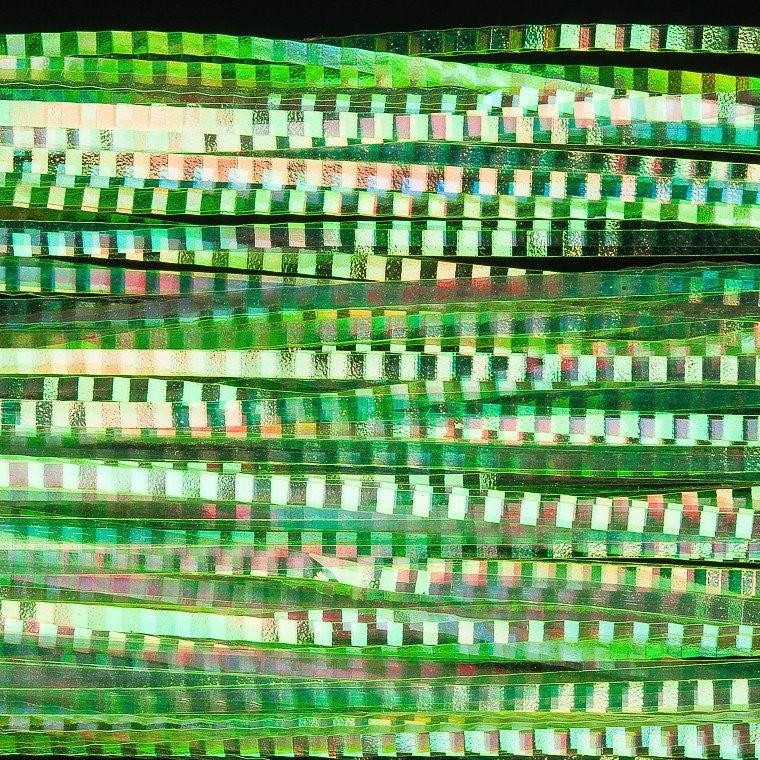 Wapsi Lateral Scale – Fishing Station