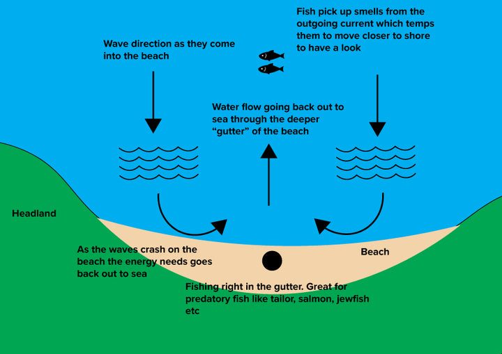 How to catch surf Jewfish – Fishing Station