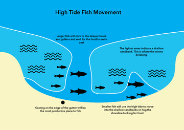 How to catch surf Jewfish – Fishing Station