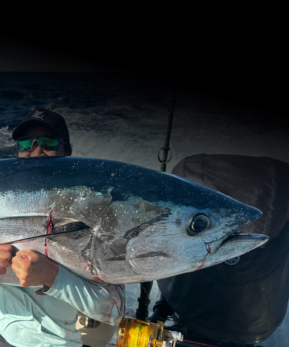 Fishing Station: Sydney's Premier Bait & Tackle Store